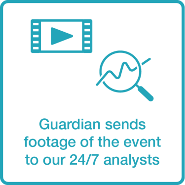 Guardian driver information | Seeing Machines